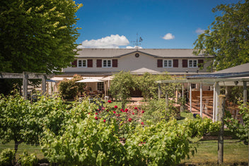 Welcome to Brookfields Vineyards - Hawke's Bay